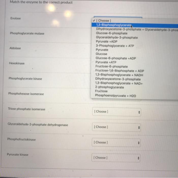 Solved Match each enzyme to the correct substrate | Chegg.com