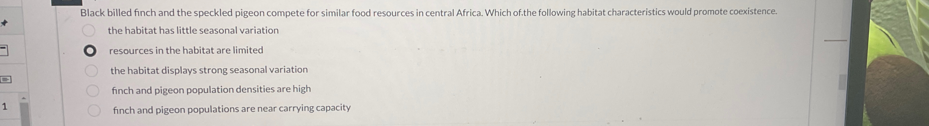 Solved Black billed finch and the speckled pigeon compete | Chegg.com