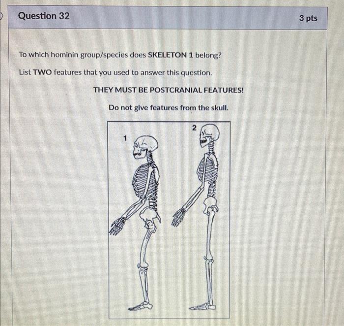 Solved To which hominin group/species does SKELETON 1 | Chegg.com