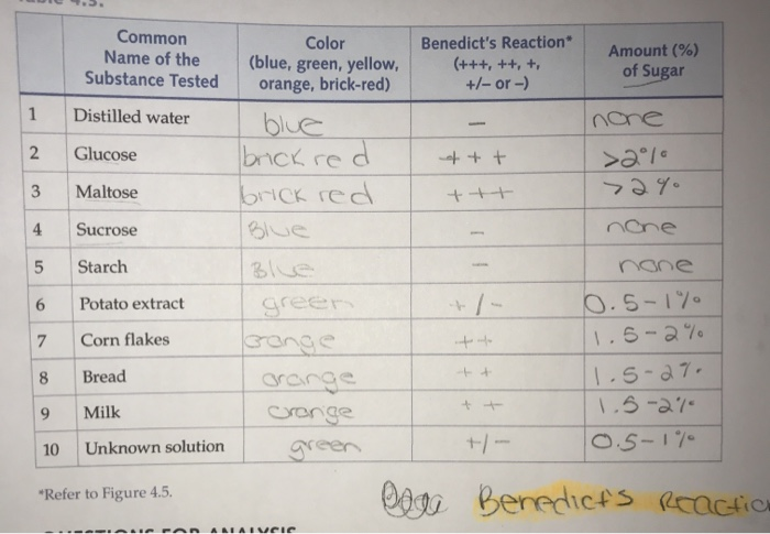 Solved EXERCISE 5. IDENTIFICATION OF BIOMOLECULES IN | Chegg.com