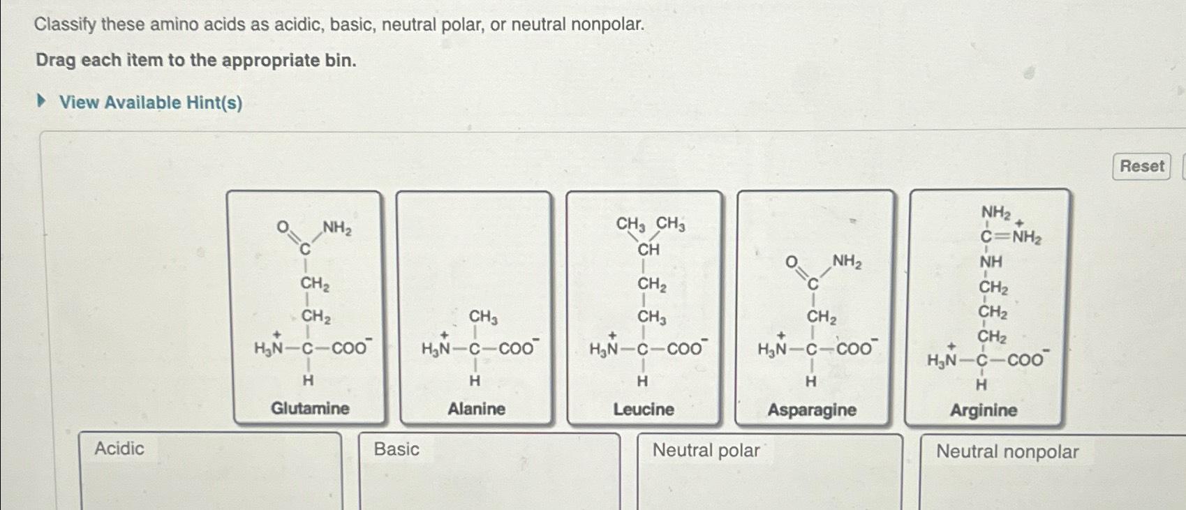 Solved Classify these amino acids as acidic, basic, neutral | Chegg.com