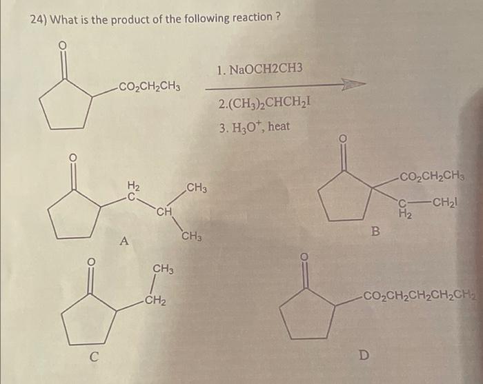 Solved 24) What is the product of the following reaction ? | Chegg.com