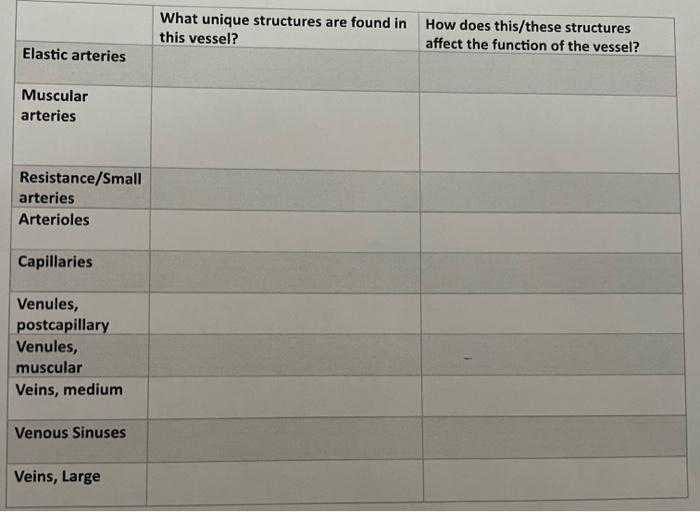 Solved Elastic arteries Muscular arteries Resistance/Small | Chegg.com