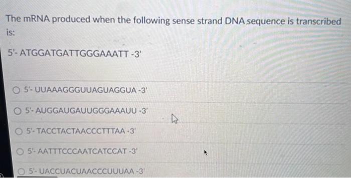 Solved The mRNA produced when the following sense strand DNA | Chegg.com