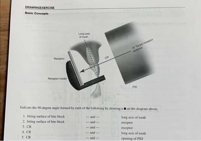 Solved DRAWINGEXERCISE Basic Concepts Receptor Receptor | Chegg.com