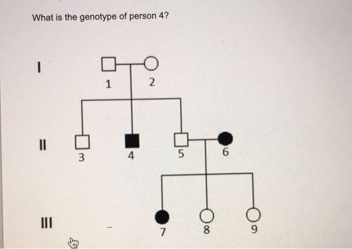Solved What is the genotype of person 4? To | Chegg.com