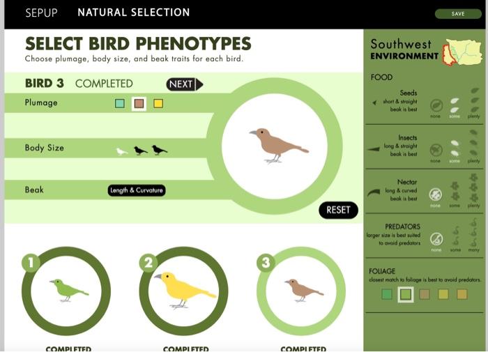 Solved SEPUP NATURAL SELECTION SAVE Southwest ENVIRONMENT | Chegg.com