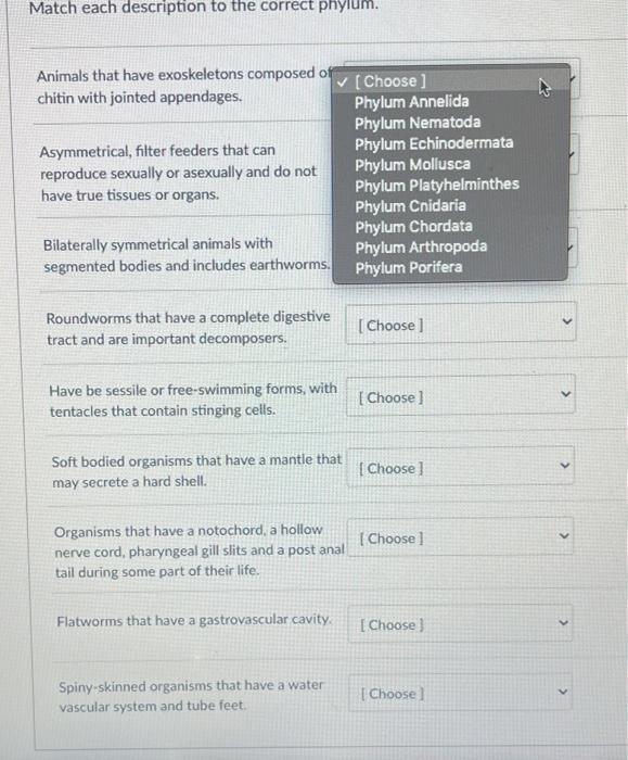 Solved Match each description to the correct phyium. Animals | Chegg.com