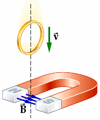 Solved A Wire Loop and a Magnet A loop of wire isdropped and | Chegg.com