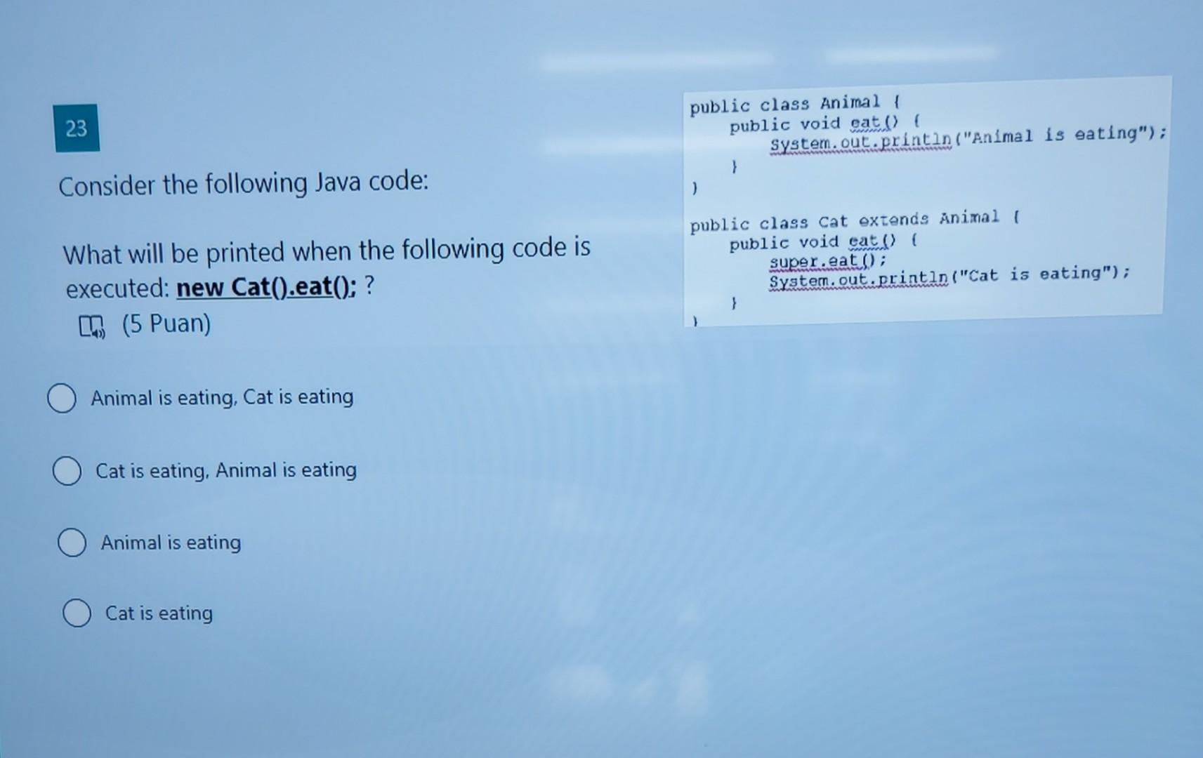 Solved Animal is eating, Cat is eating Cat is eating, Animal | Chegg.com