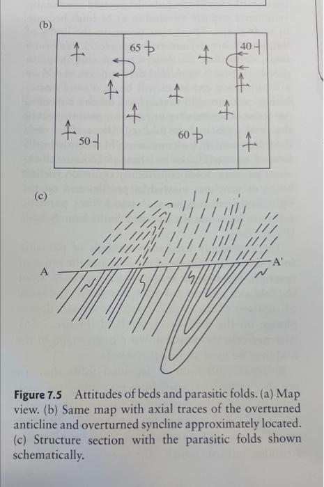 Draw a cross section A-A' showing the parasitic folds | Chegg.com