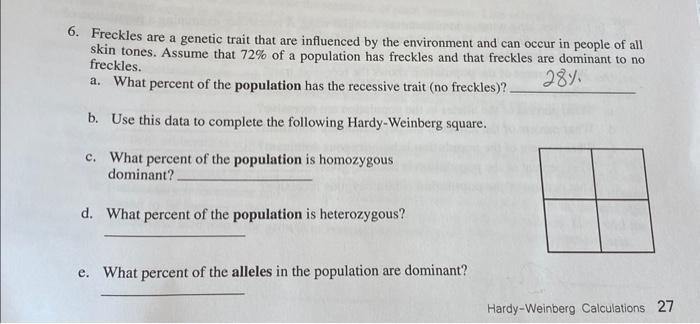 Solved 6. Freckles are a genetic trait that are influenced | Chegg.com