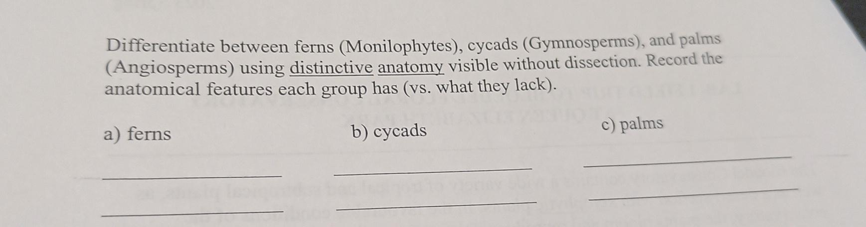 Solved Differentiate between ferns (Monilophytes), ﻿cycads | Chegg.com
