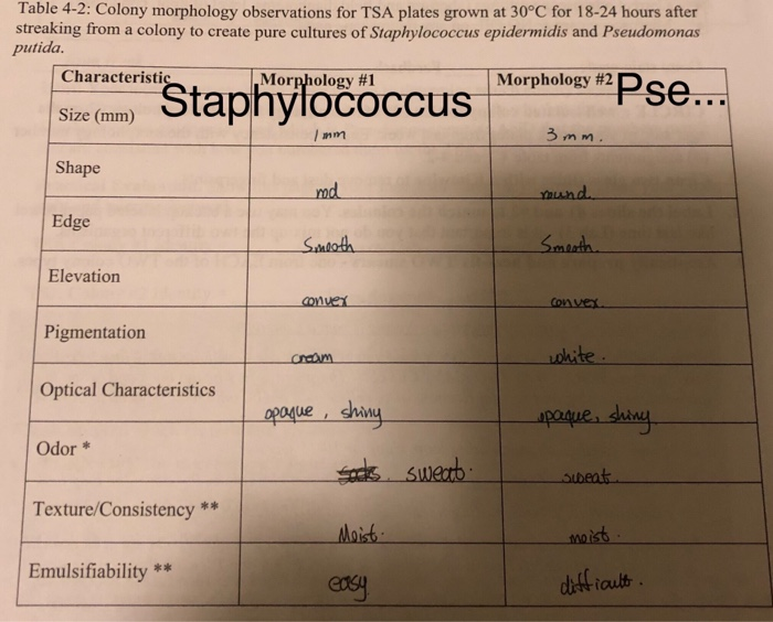 Solved Table 4-1: Colony morphology observations for TSA | Chegg.com