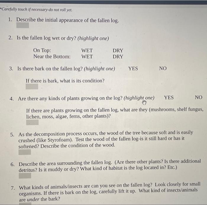 Solved Date: FALLEN LOG AND DECOMPOSITION Objectives: | Chegg.com