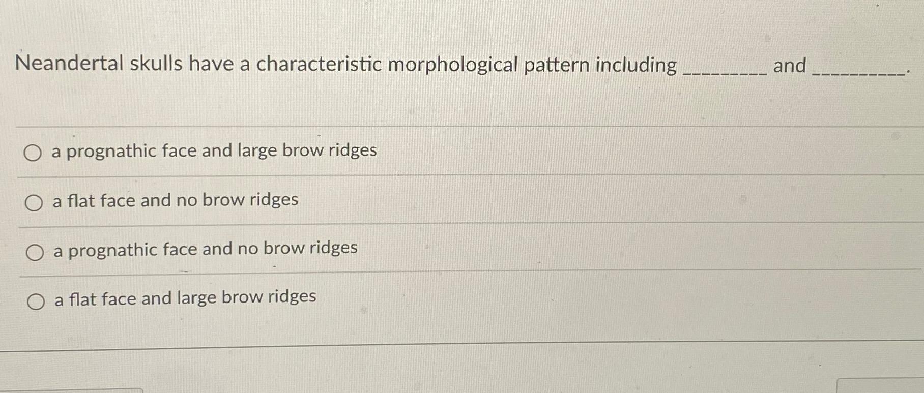 Solved Neandertal skulls have a characteristic morphological | Chegg.com