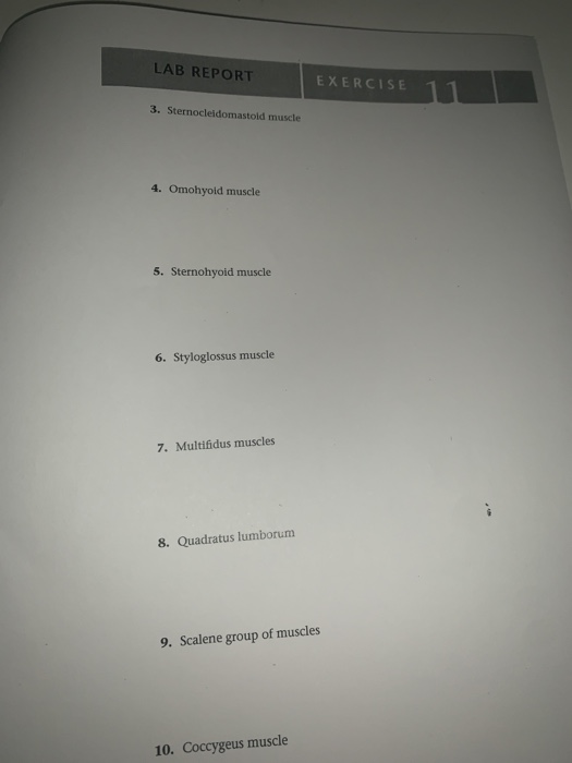 Solved 3 Labeling Label the muscles of the heading 11.12 C. | Chegg.com