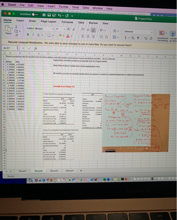 Solved Excel File Edit View Insert Format Tools Data Window | Chegg.com