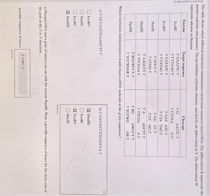 Solved The table shows where different restriction | Chegg.com