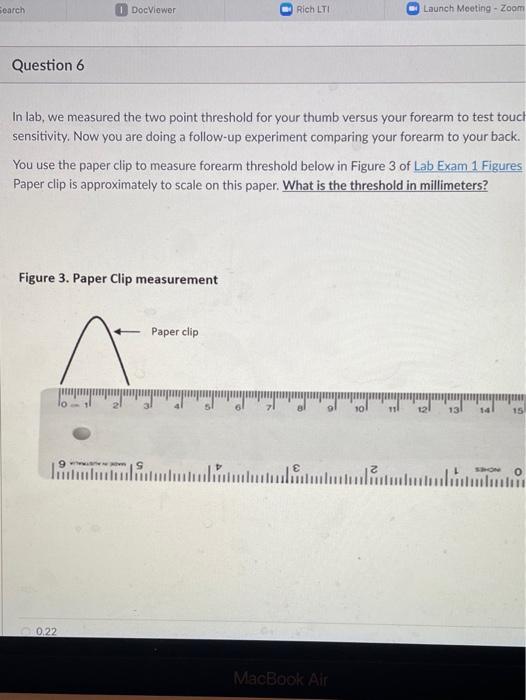 Solved You use the paper clip to measure forearm threshold | Chegg.com