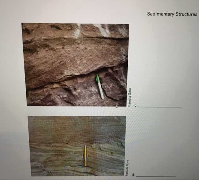 Solved 5. Identify the following sedimentary structures. | Chegg.com