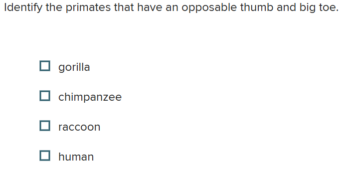 Solved Identify the primates that have an opposable thumb | Chegg.com