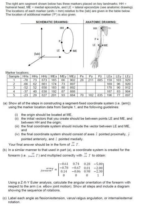 The right arm segment shown below has three markers | Chegg.com