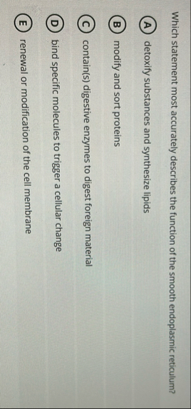 Solved Which statement most accurately describes the | Chegg.com