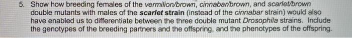 Solved 5. Show how breeding females of the vermilion/brown, | Chegg.com