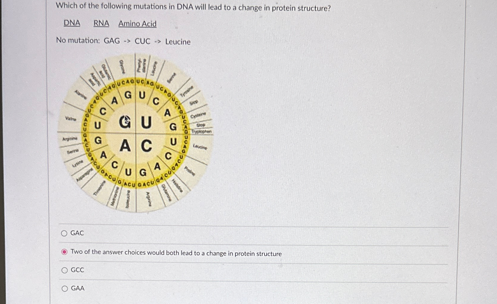 Solved Which of the following mutations in DNA will lead to | Chegg.com