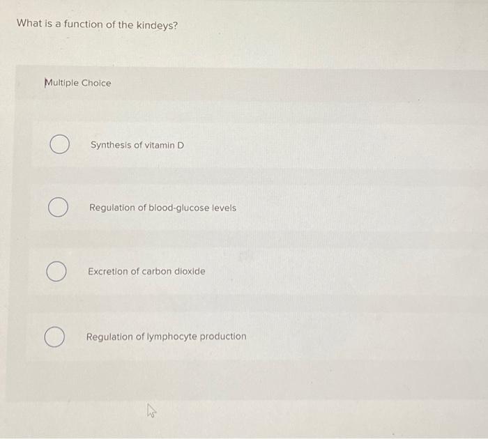Solved What is a function of the kindeys? Multiple Choice | Chegg.com