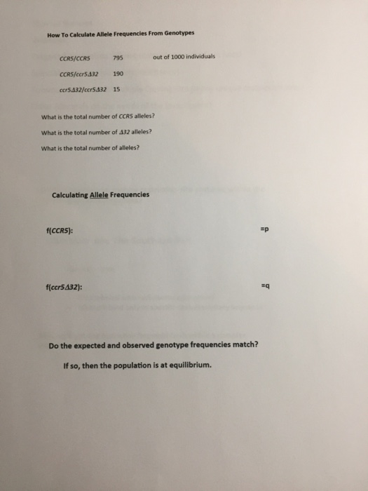 Solved How To Calculate Allele Frequencies From Genotypes | Chegg.com