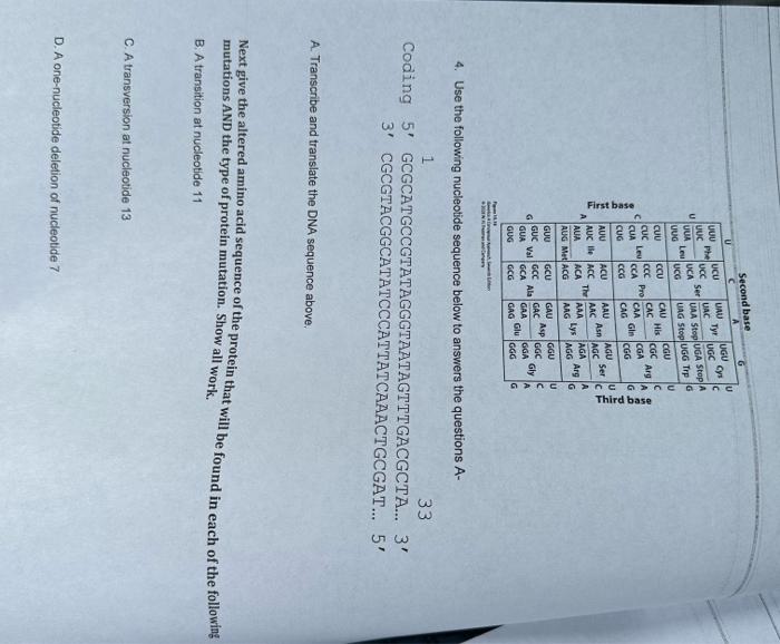 Solved 4. Use the following nucleotide sequence below to | Chegg.com