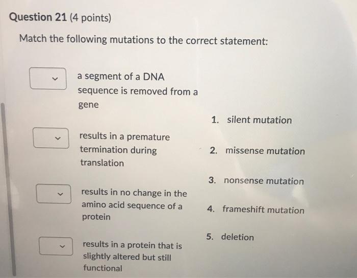 Solved Match the following mutations to the correct | Chegg.com