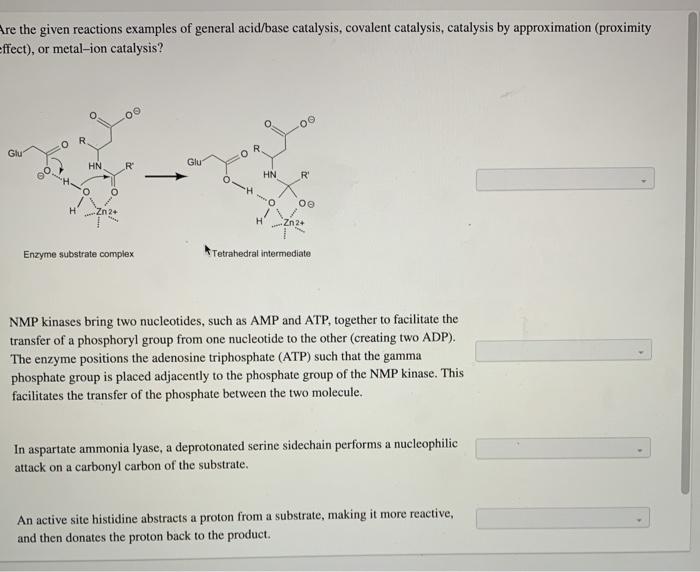 Solved Are the given reactions examples of general acid/base | Chegg.com