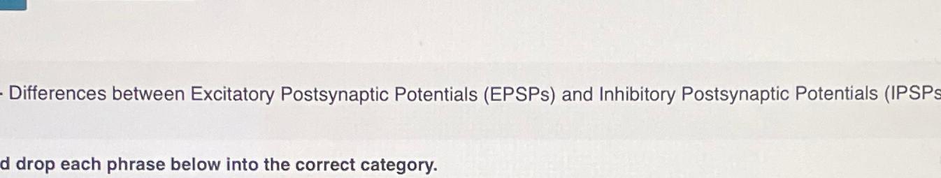 Solved Differences Between Excitatory Postsynaptic
