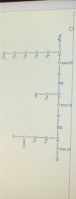 Solved What is the correct structure of Lys-Cys-Gin at | Chegg.com