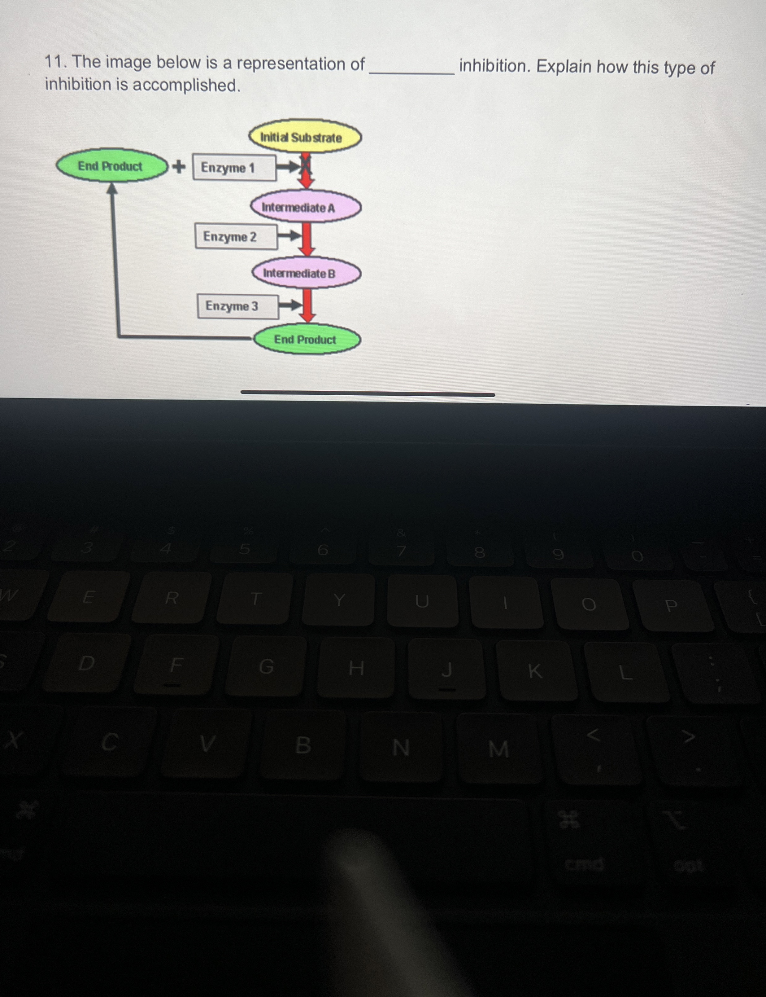 Solved The image below is a representation of inhibition. | Chegg.com