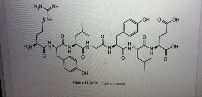 Solved Question 3 (3 points) Review the structure of casein | Chegg.com