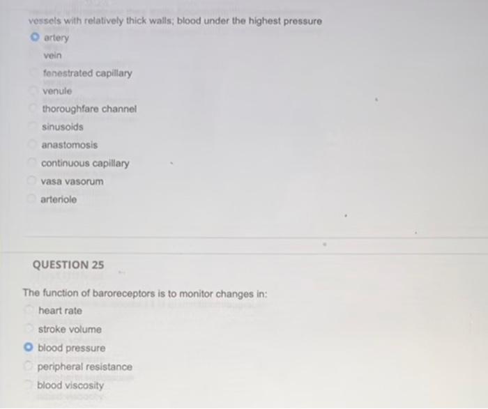 Solved vessels with relatively thick walls; blood under the | Chegg.com