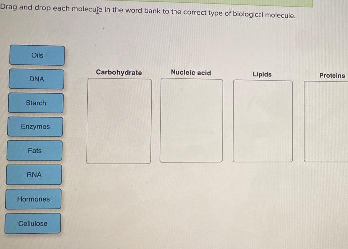 Solved Drag and drop each molecule in the word bank to the | Chegg.com