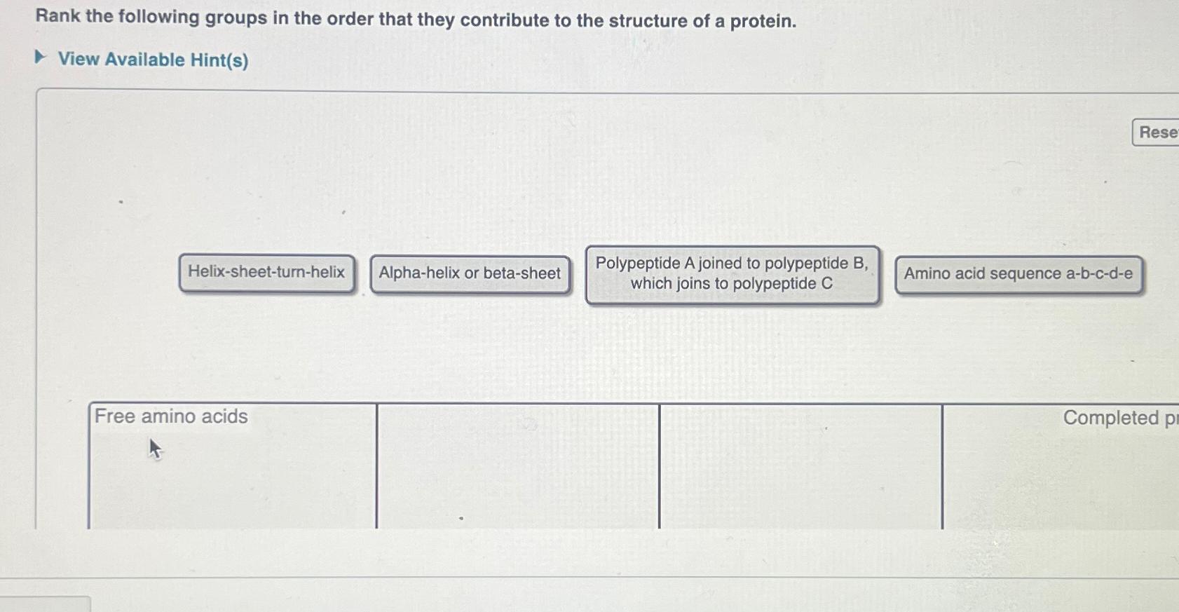 Solved Rank the following groups in the order that they | Chegg.com