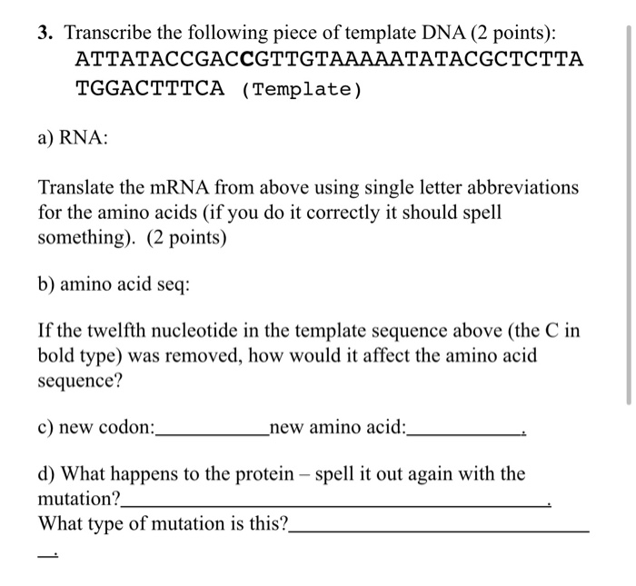 Solved 3. Transcribe the following piece of template DNA (2 | Chegg.com