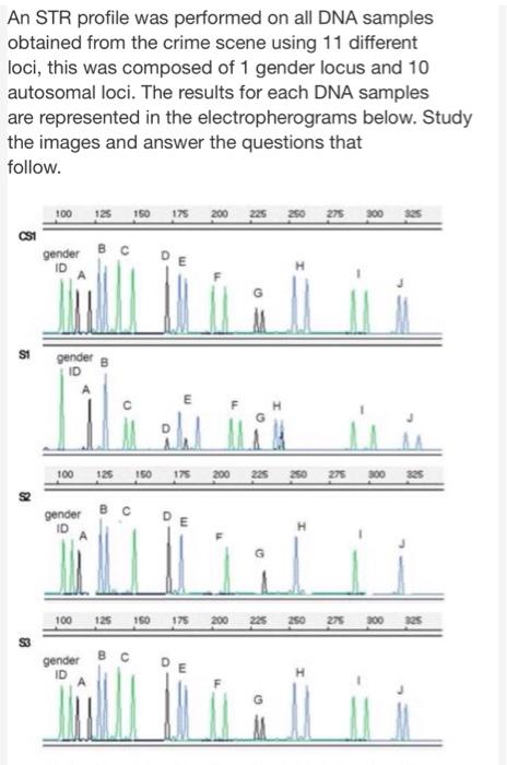 An STR profile was performed on all DNA samples | Chegg.com