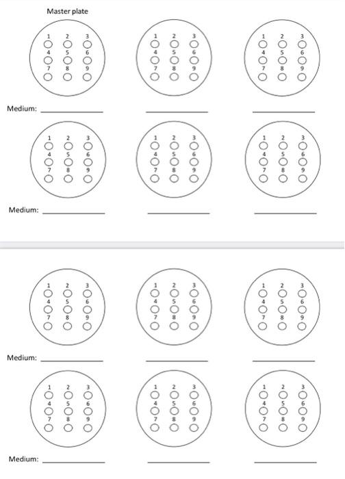 Solved Replica Plating You were accepted as a microbiologist | Chegg.com
