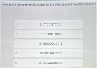Solved What is the complementary strand for the DNA strand | Chegg.com