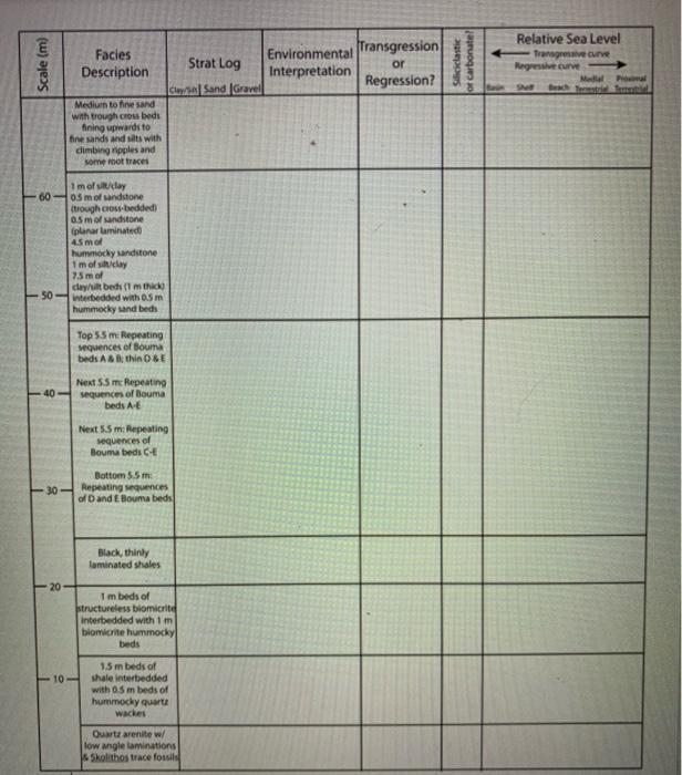 Transgression Scale (m) Facies Description Strat Log | Chegg.com