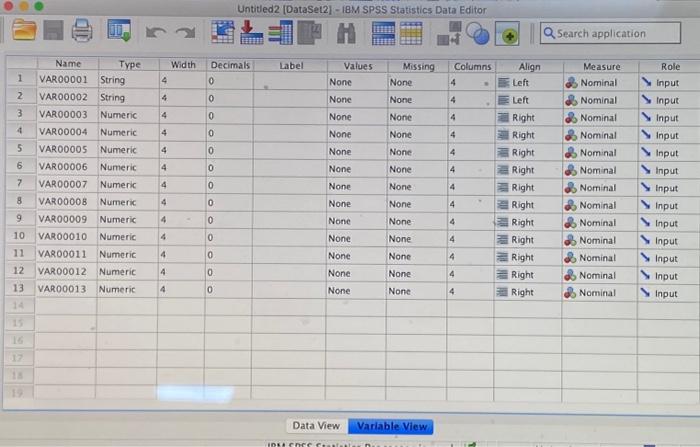 1) Open SPSS to a New Data Set Then Click on Data 2 | Chegg.com