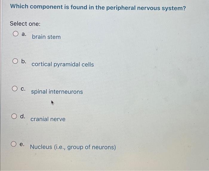 Solved Which component is found in the peripheral nervous | Chegg.com