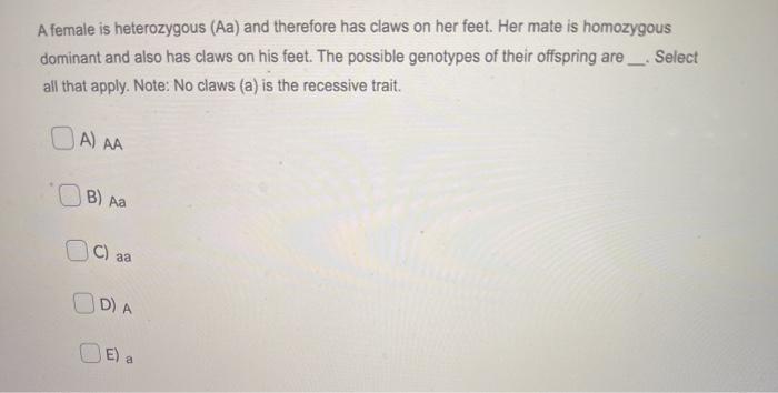 Solved If a heterozygous dominant animal with one eye (Ee) | Chegg.com